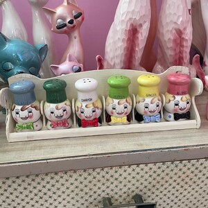 Retro Vintage Japan Kawaii Cute Spice Rack Men Ceramic Rainbow ...