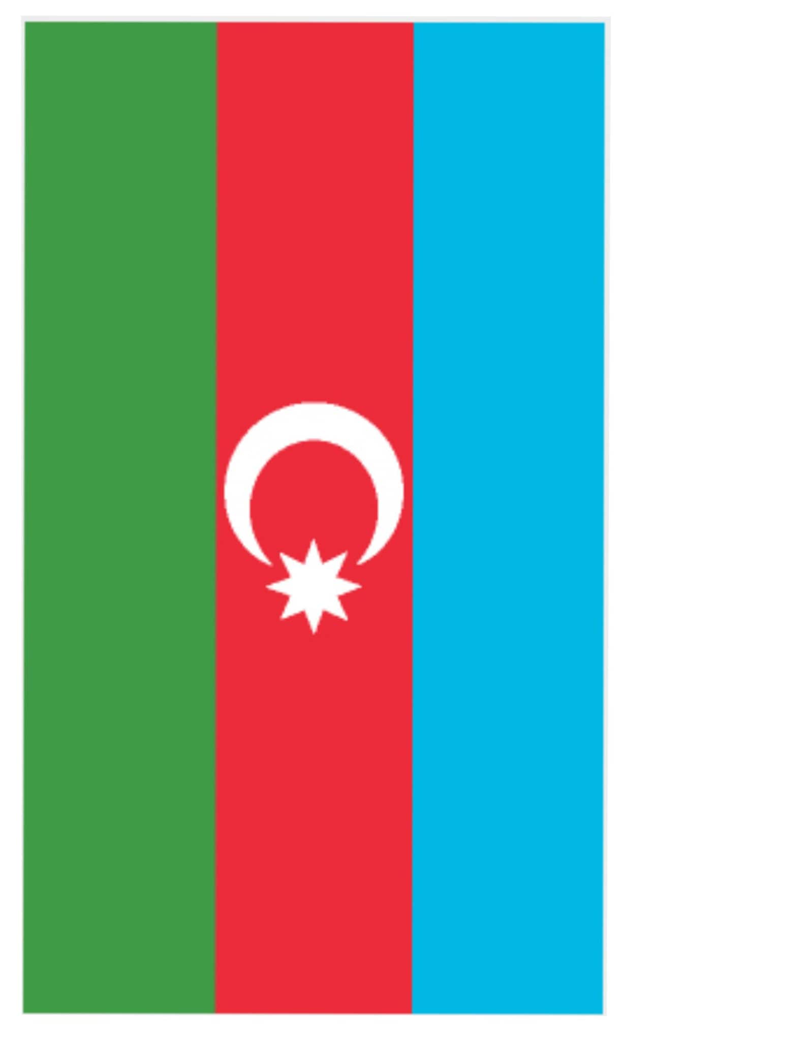 Asian Pacific Heritage Months Flags, Digital Downloads, Printable ...