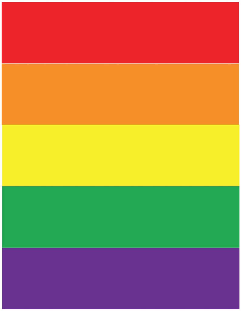 8 Pride Flags Horizontal and Vertical LGBTQ - Etsy
