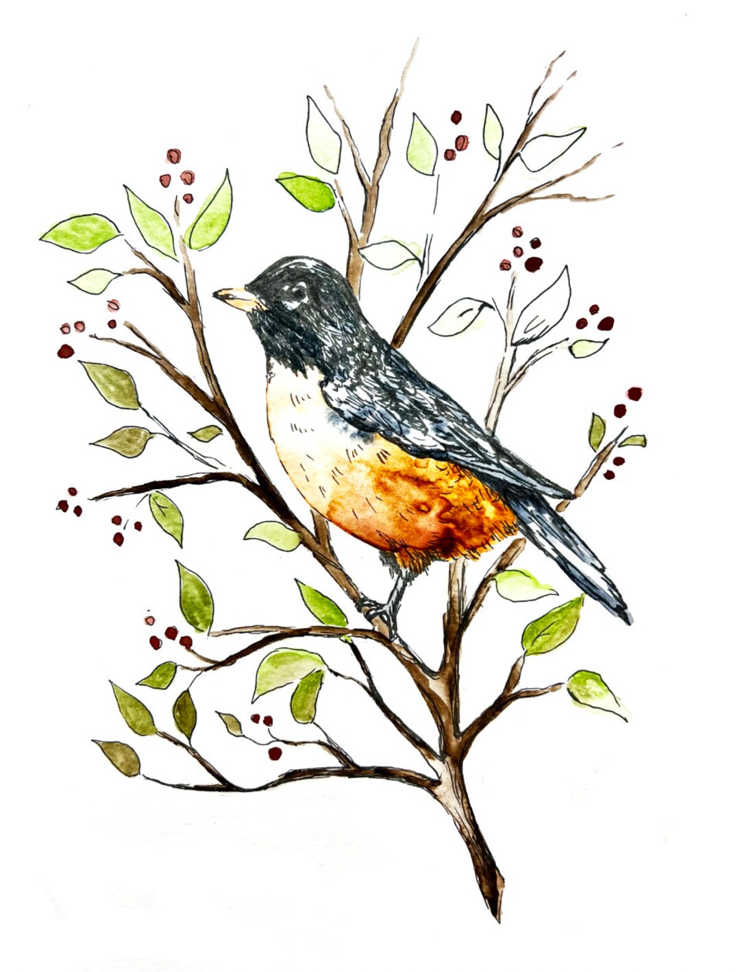 Robin - Paint Kit - Etsy