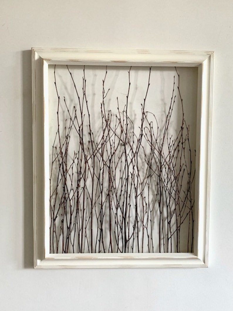 Rustic Framed Branches (1 X-large Wooden Frame) - Birch Branch Decor ...