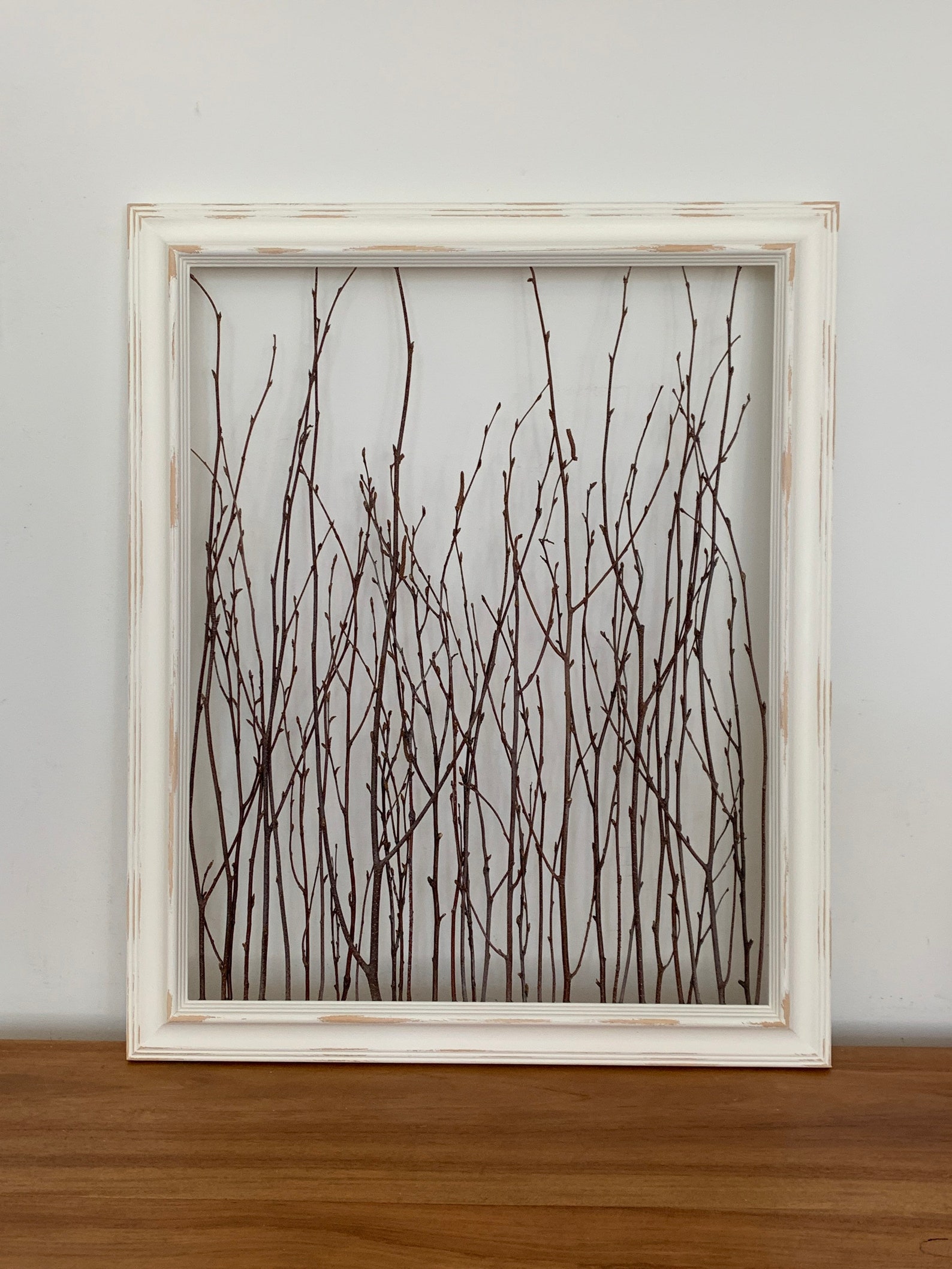 Rustic Framed Branches (1 X-large Wooden Frame) - Birch Branch Decor ...