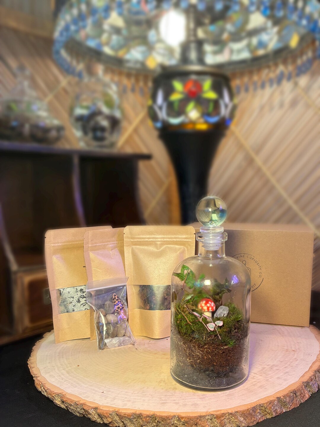 DIY Bottle Terrarium Kit With Live Moss: Homeschool STEM Project - Etsy