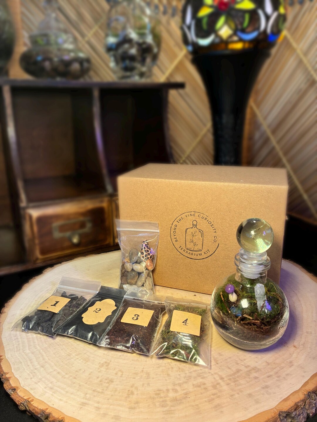 DIY Mini Bottle Terrarium Kit With Live Moss: Homeschool STEM Project ...