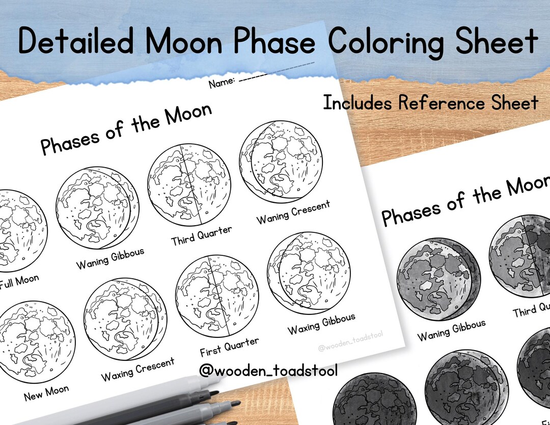 Detailed Moon Phase Coloring Sheet and Reference Page - Etsy