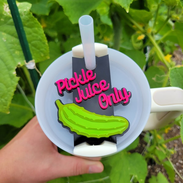 Pickle Stanley Cup - Etsy