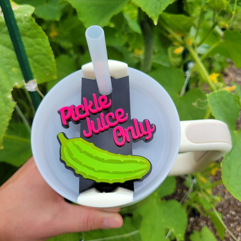 Pickle Juice Only 40 Oz Stanley H2.0 Tumbler Topper Acrylic - Etsy