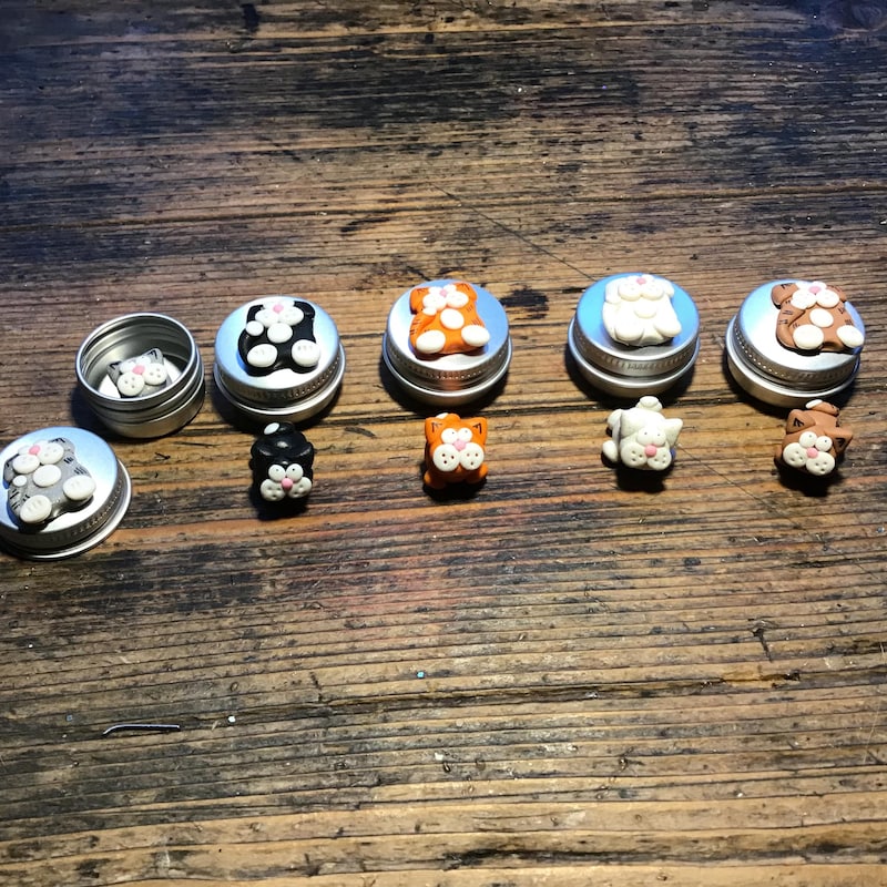 Miniature Cats Tin - Etsy UK
