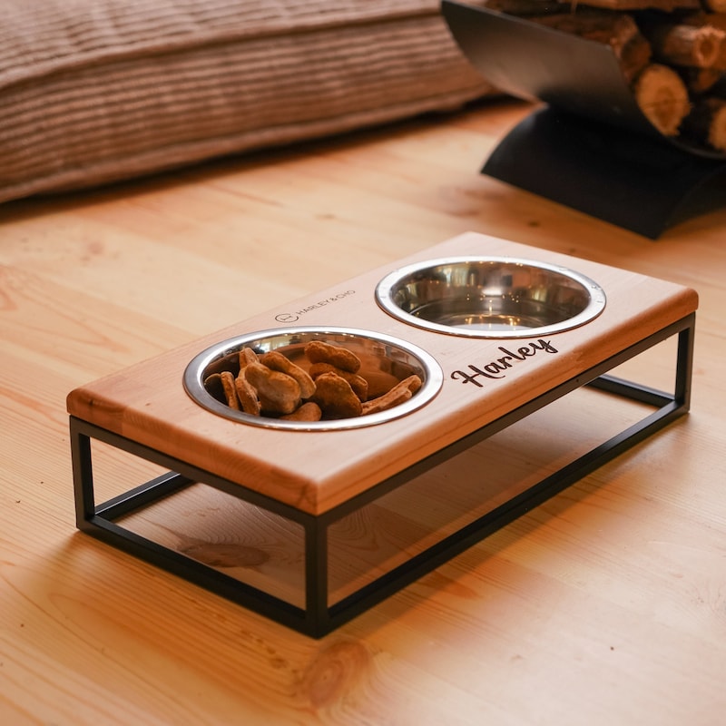 Fancy Cat Bowl - Etsy