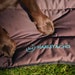 Camping Mat for Dog Outdoor Mat Water Resist Dog Lounger Large Dog Bed ...