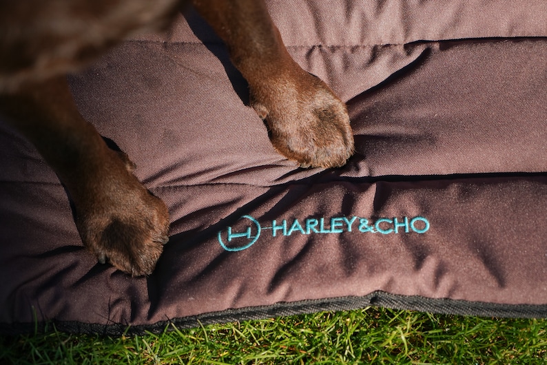 Camping Mat for Dog Outdoor Mat Water Resist Dog Lounger Large Dog Bed ...