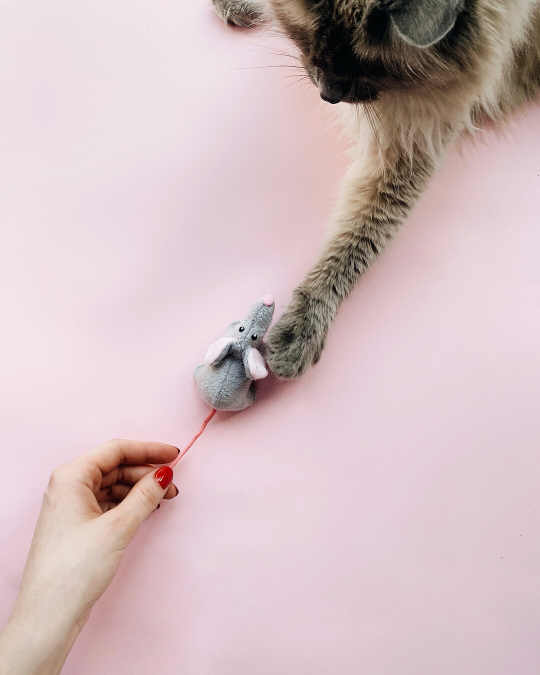 Cat's Toy Mouse Michelle, Kitten Toys, Pet Plush Toy, Toy for Cat ...