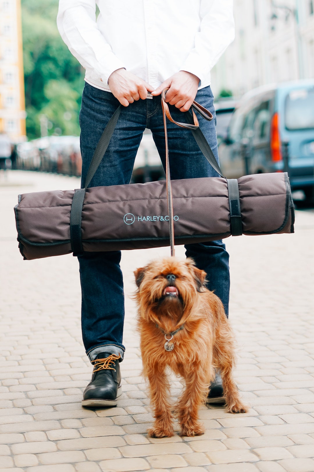 Dog Roll up Travel Mat, Waterproof Dog Mat, Portable Outdoor Dog Bed ...