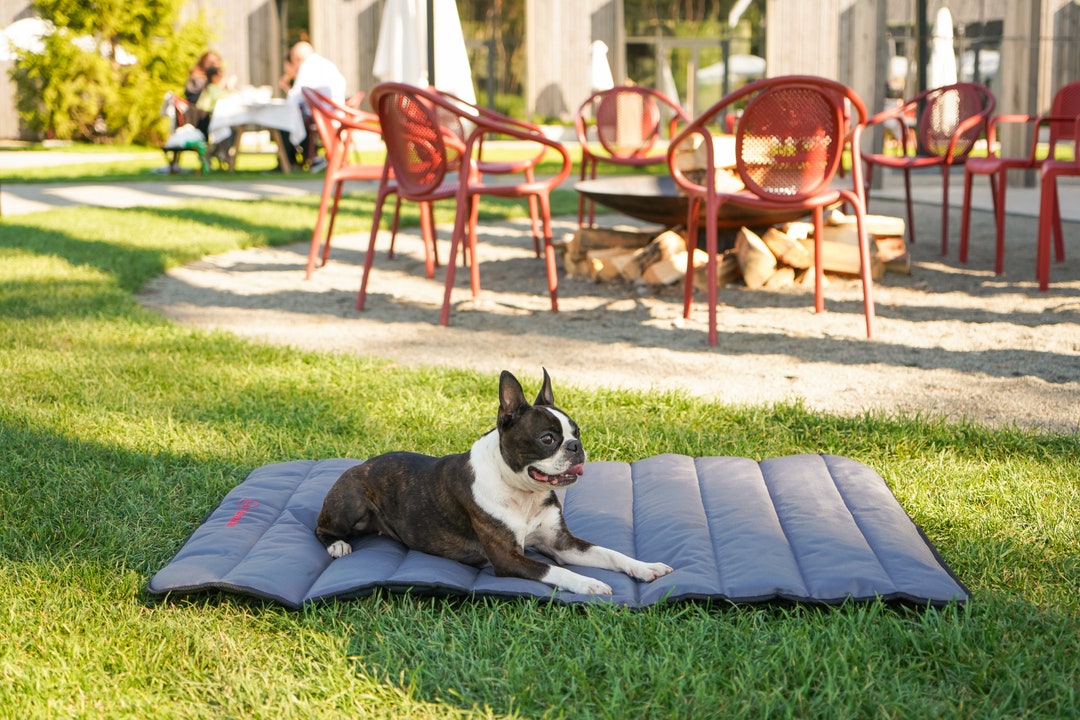 Travel Mat for Dog, Roll up Dog Mat for Walks, Waterproof Dog Outdoor ...