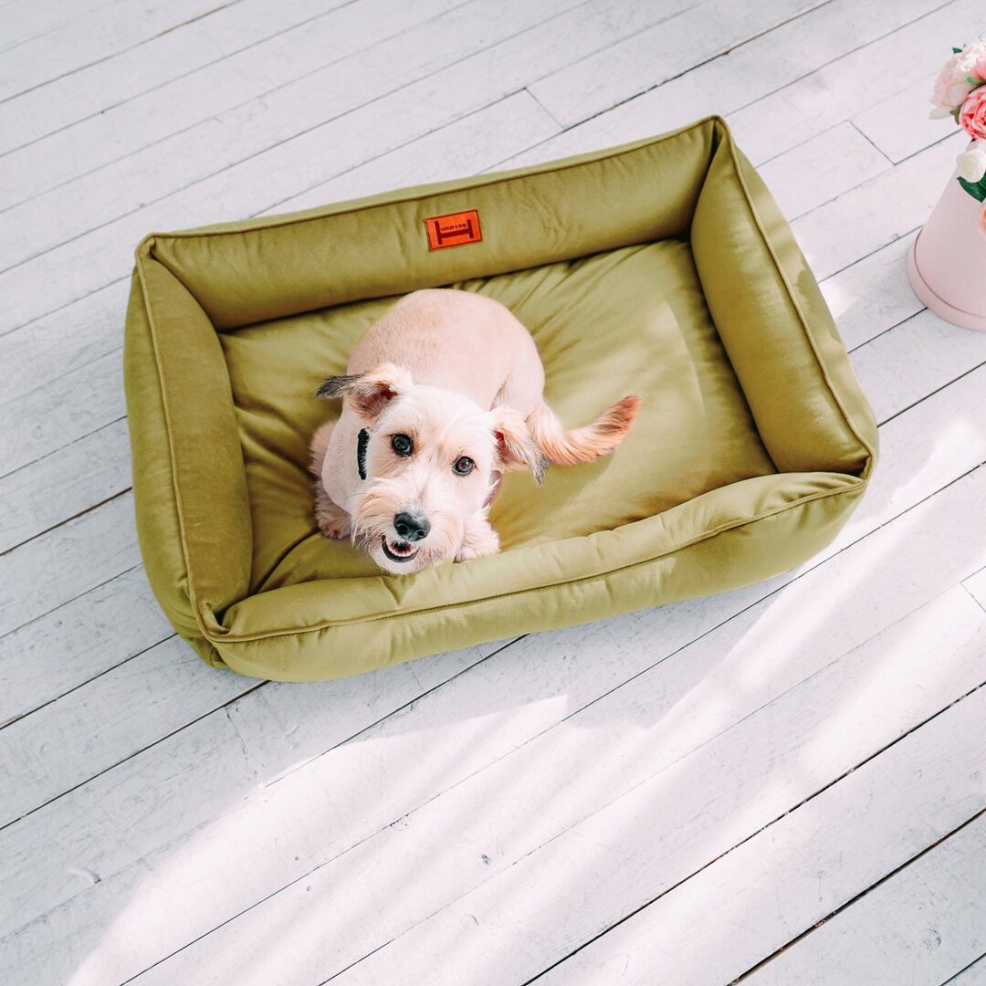 Sage Green Dog Velour Bed, Plush Mat for Spitz, Pet Bed Couch, Dog ...