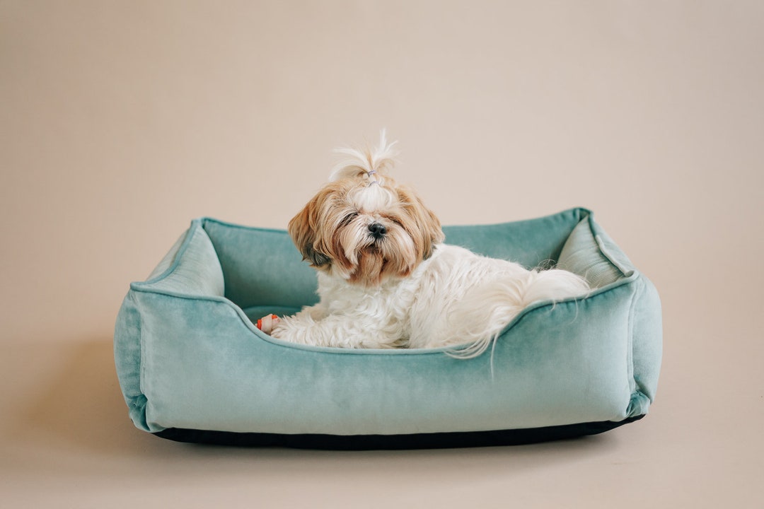 Pet Bed Turquoise Velvet Mat for Small Dog / Small Dog Nesting - Etsy