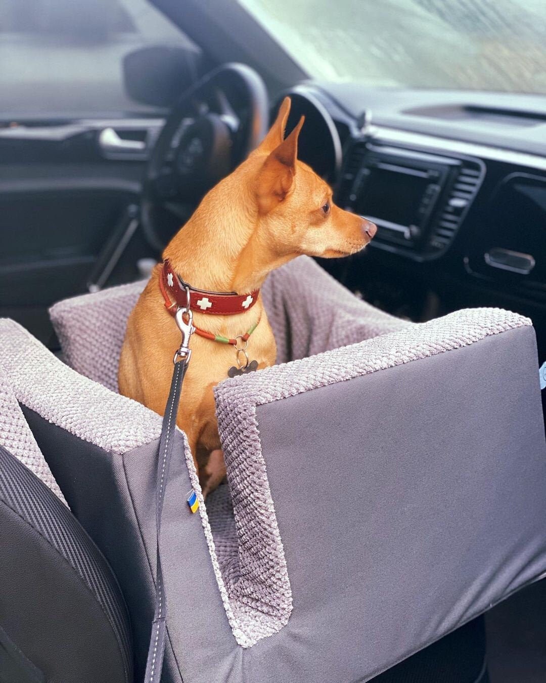 Dog Car Seat Pet Booster Seat for Small Medium Breeds | Etsy