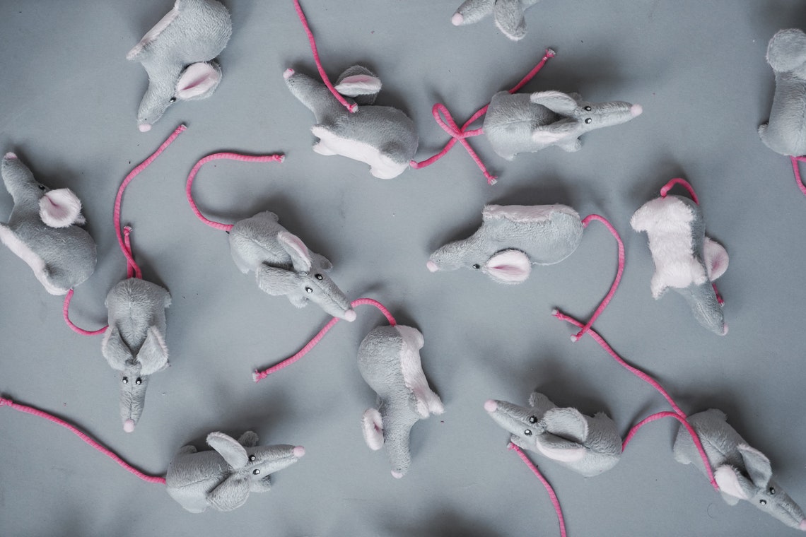 Cat's Toy Mouse Michelle Kitten Toys Pet Plush Toy Toy - Etsy