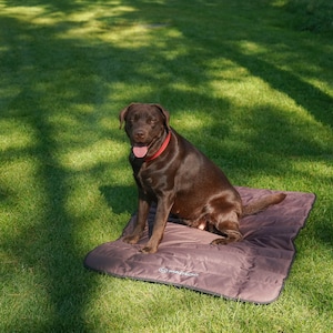 Camping Mat for Dog Outdoor Mat Water Resist Dog Lounger Large Dog Bed ...