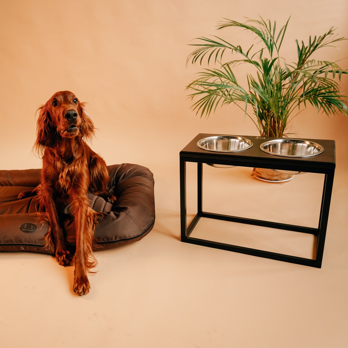 Personalized Double Dog Bowl Stand XL Size + Bowls Included 2800 Ml or ...