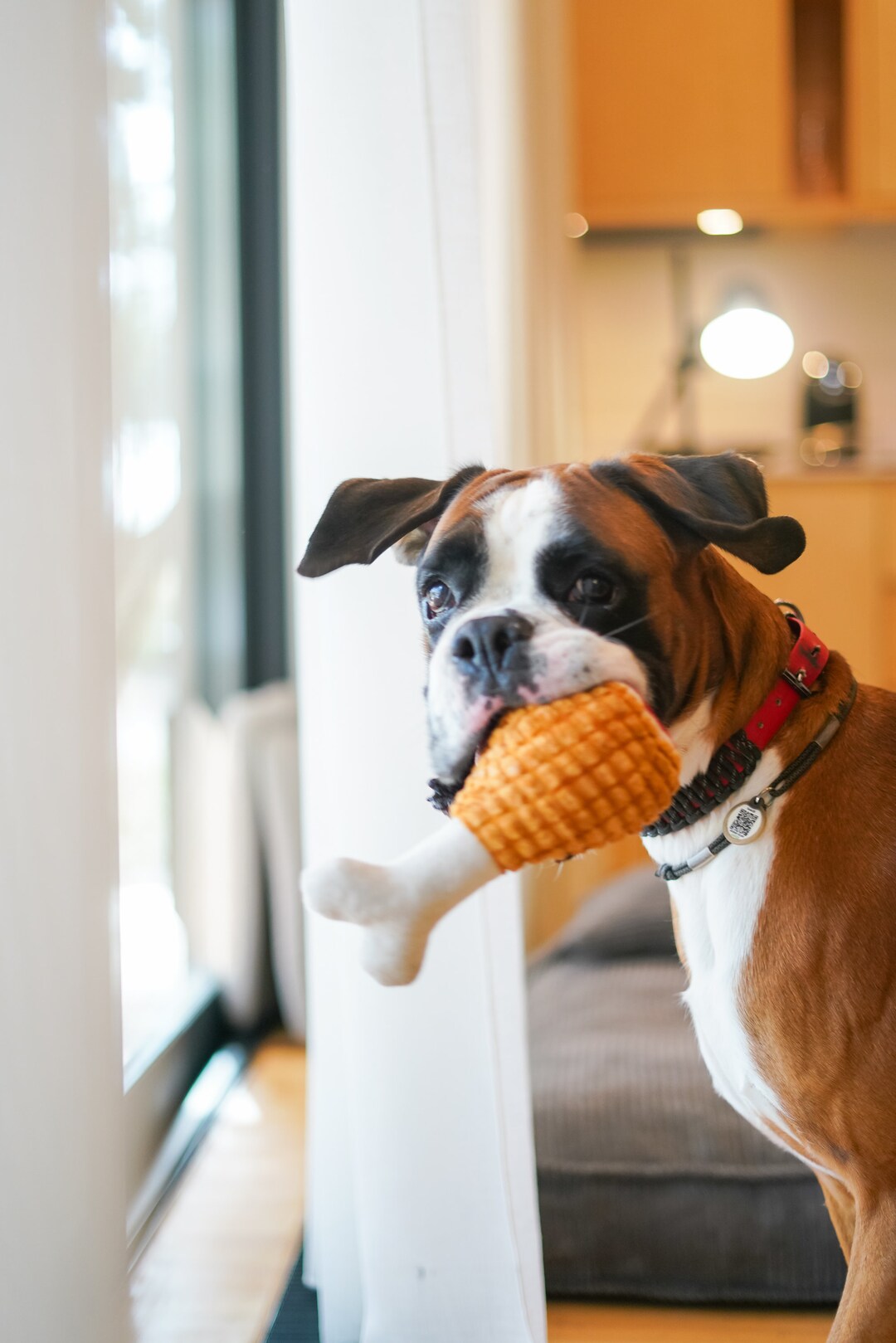 Chicken Leg Dog Toy: Durable Plush Pet Gift - Etsy New Zealand