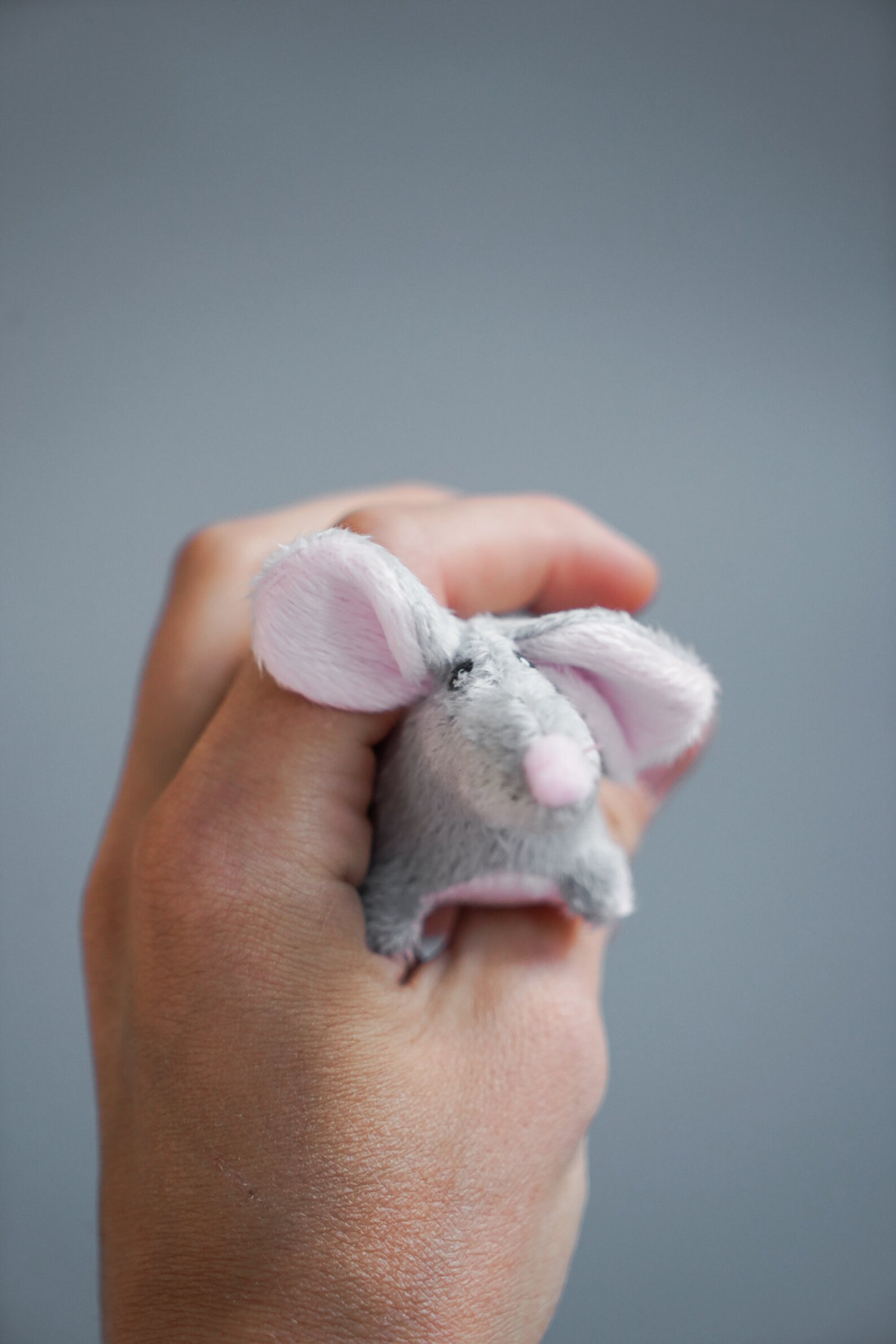 Cat's Toy Mouse Michelle, Kitten Toys, Pet Plush Toy, Toy for Cat ...