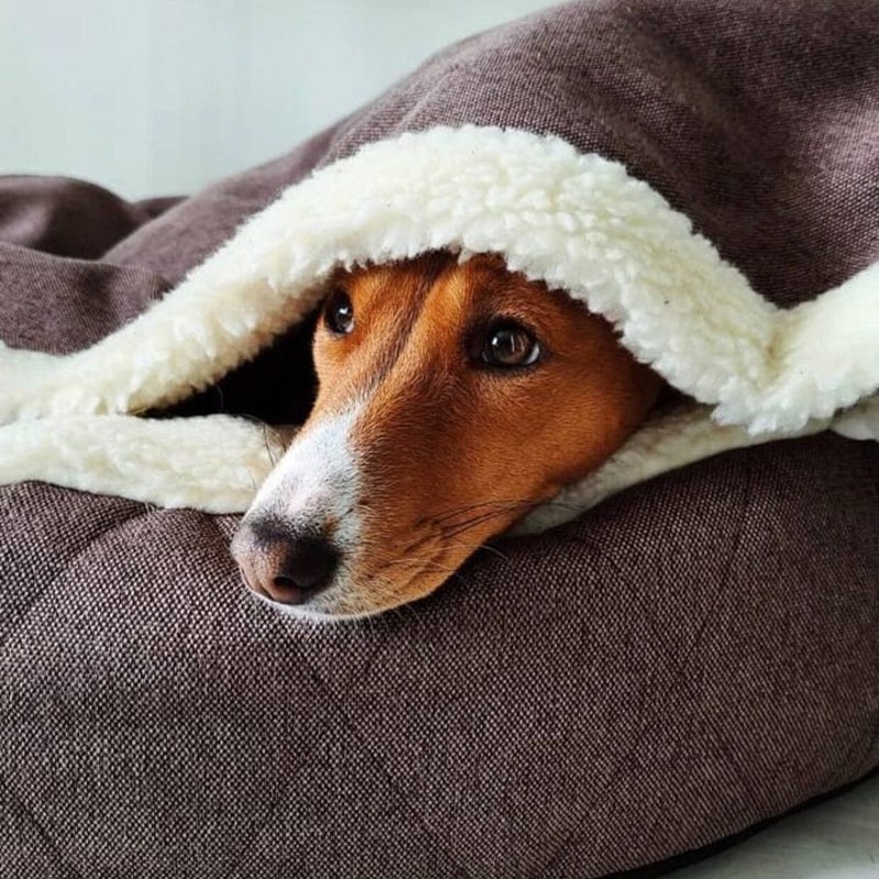 Dog Burrow Bed - Etsy