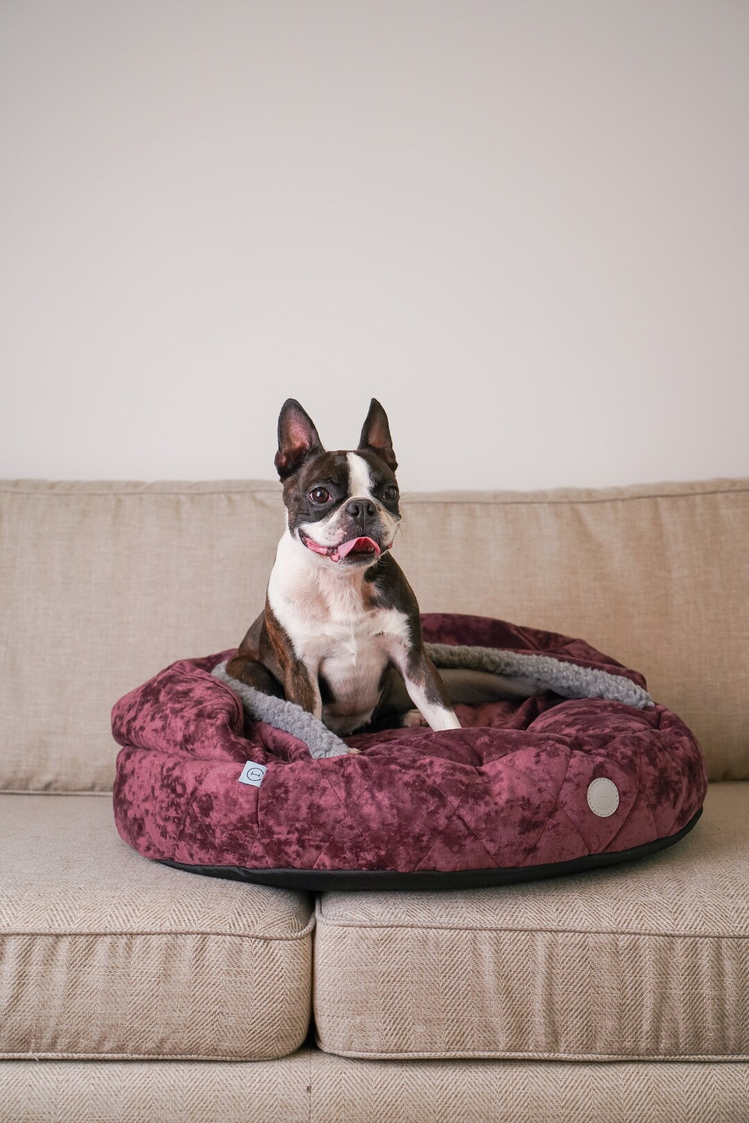 Luxury Dog Cuddle Cave, Plush Cave Bed for Pets, Velvet Hooded Bed for ...