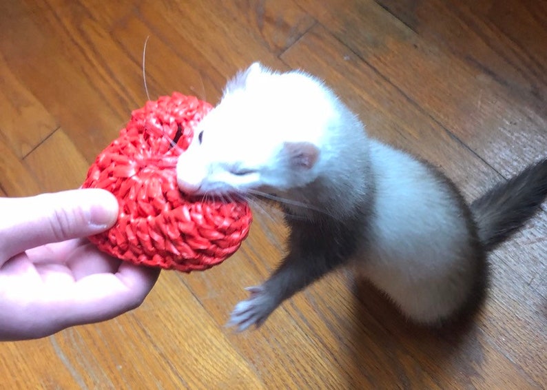 Ferret Heart Toy the Ringing Heart Toys for - Etsy