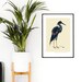 Bird Poster / Collage / Exotic Birds Art Print / Natural History ...