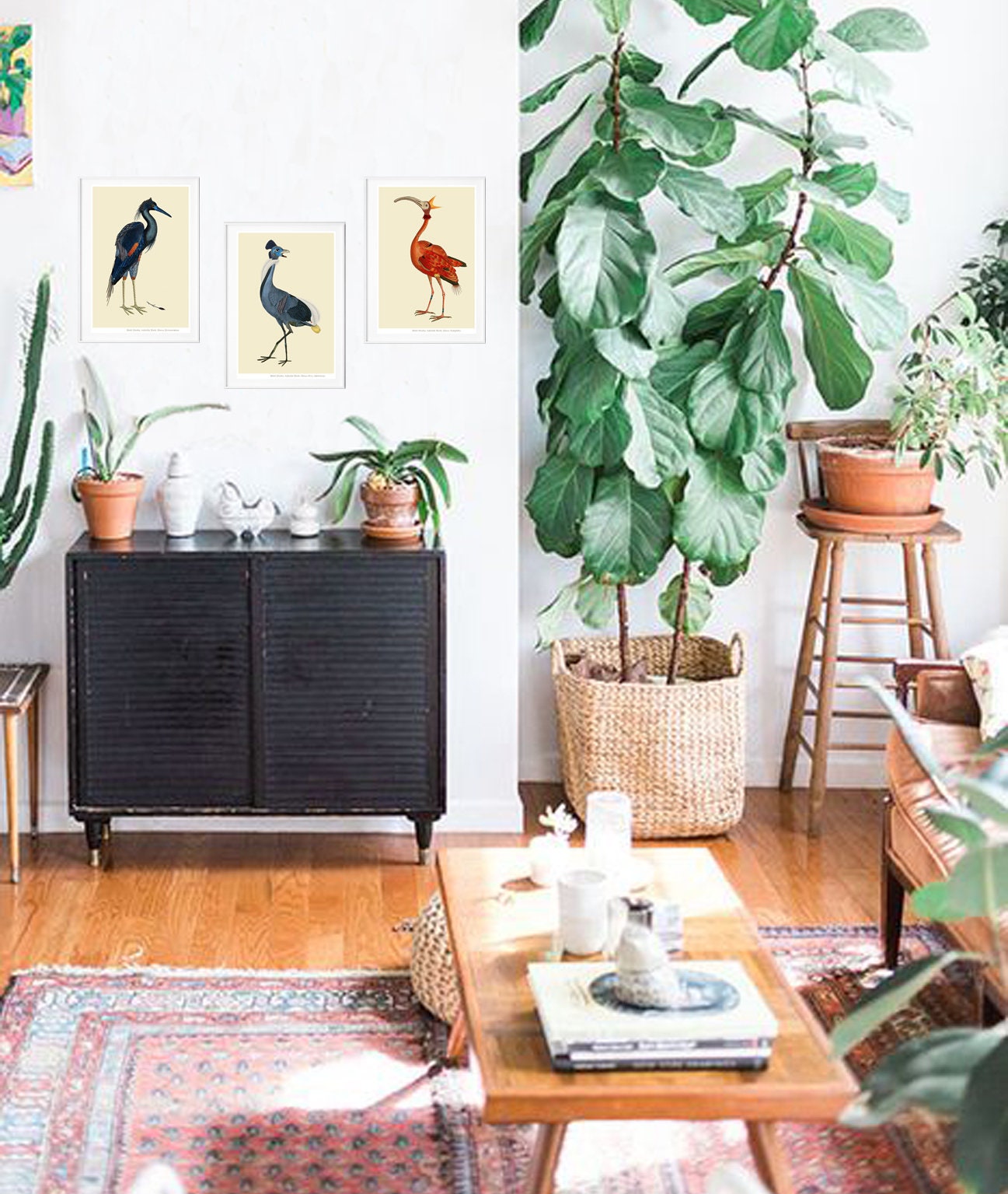 Red Bird Poster / Collage / Exotic Birds Art Print / Natural History ...