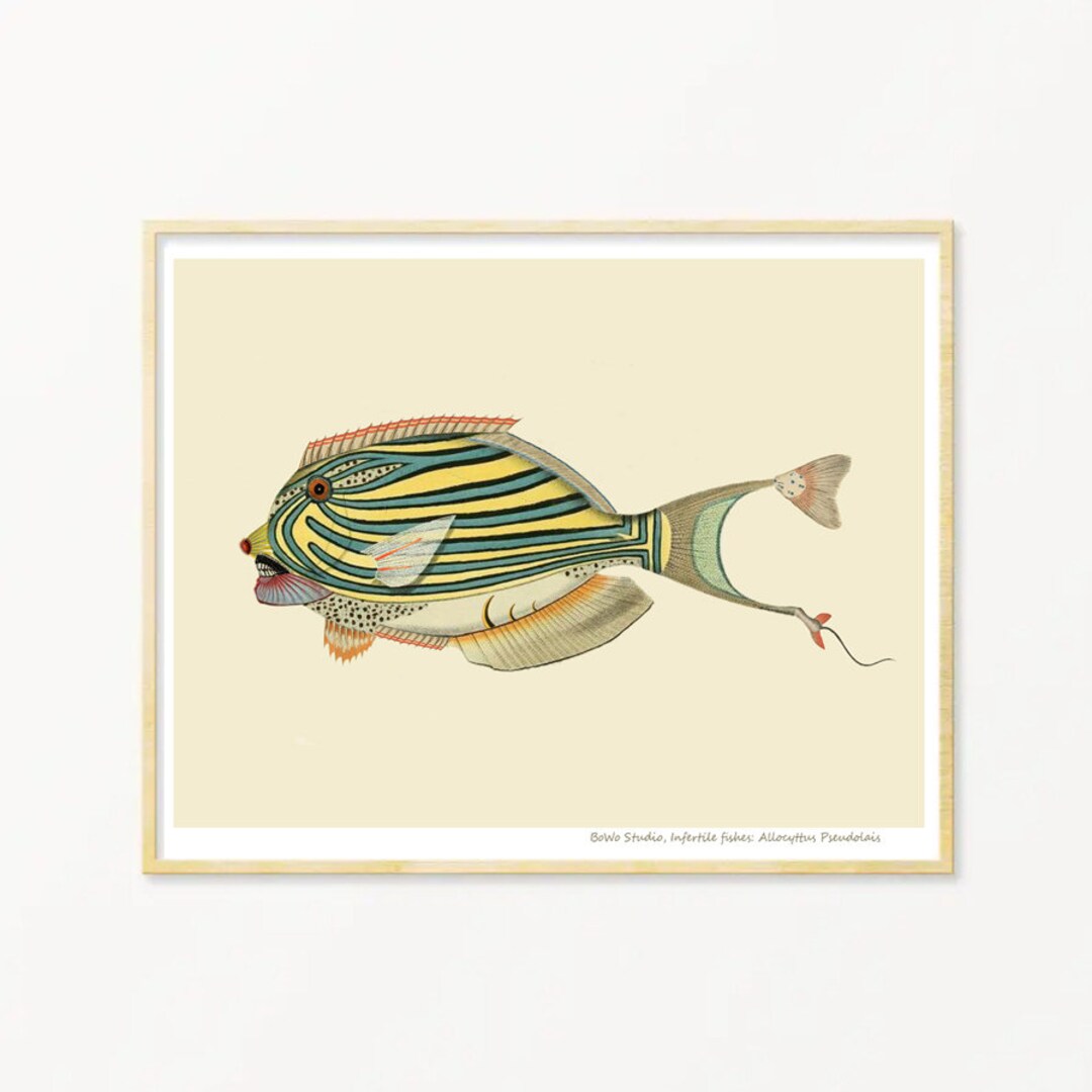 Fish Art Print / Art Poster / Collage / Fish / Sea / Wall Art / Sea ...