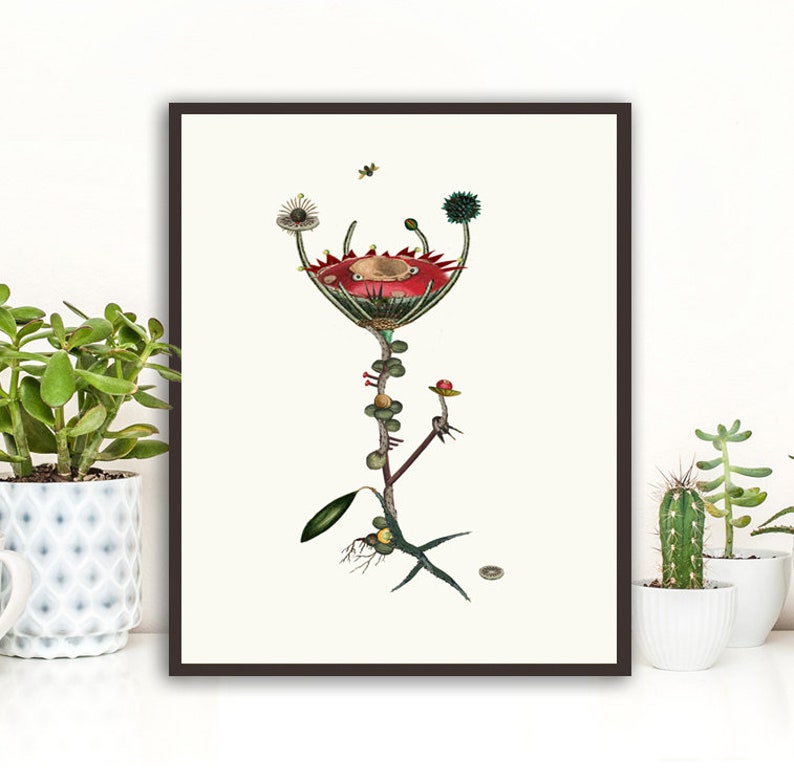 Plant Poster. Illustration Collage. Botanical Print - Herbarium ...