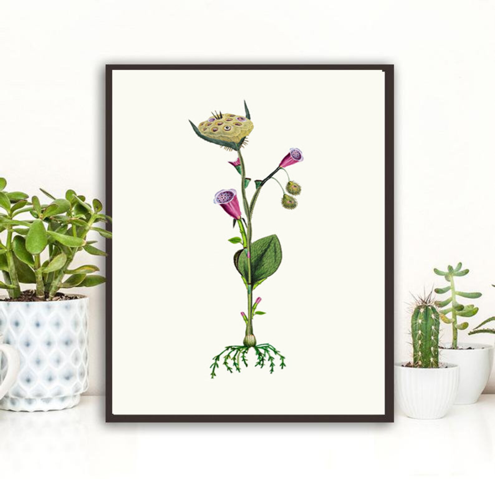 Plant Poster. Illustration Collage. Botanical Print - Herbarium ...
