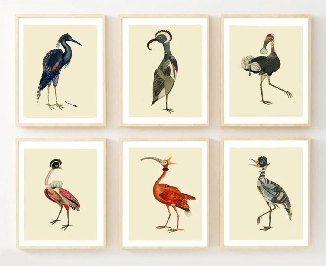 Conjunto de 6 impresiones de aves exóticas / carteles de aves de ...