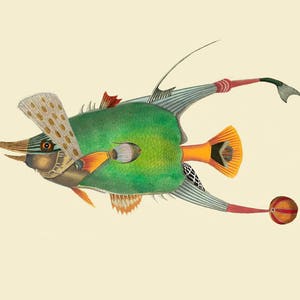 Fish Art Print / Art Poster / Collage / Fish / Sea / Wall Art / Sea ...