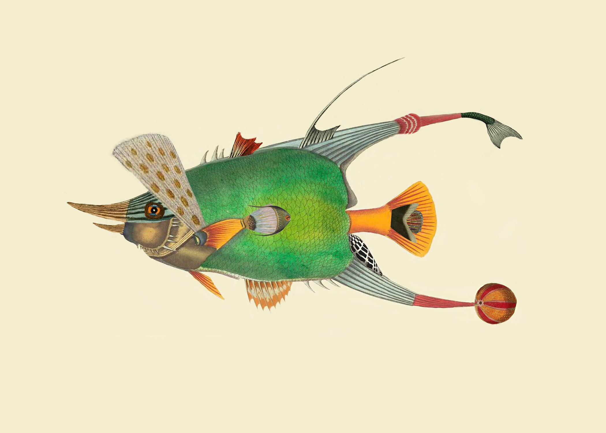 Fish Art Print / Art Poster / Collage / Fish / Sea / Wall Art / Sea ...