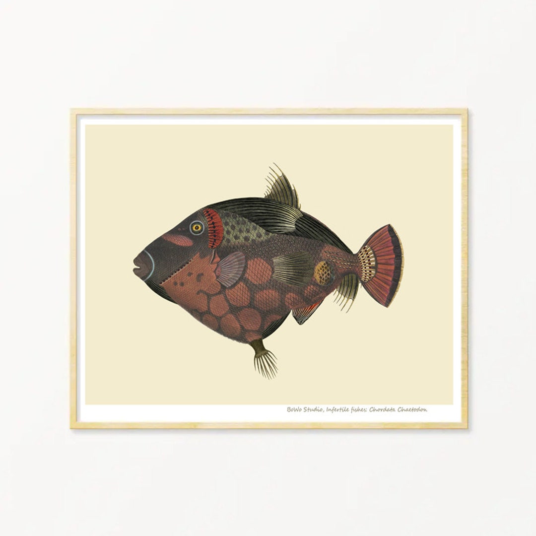 Fish Art Print / Art Poster / Collage / Black Fish / Sea / Wall Art ...