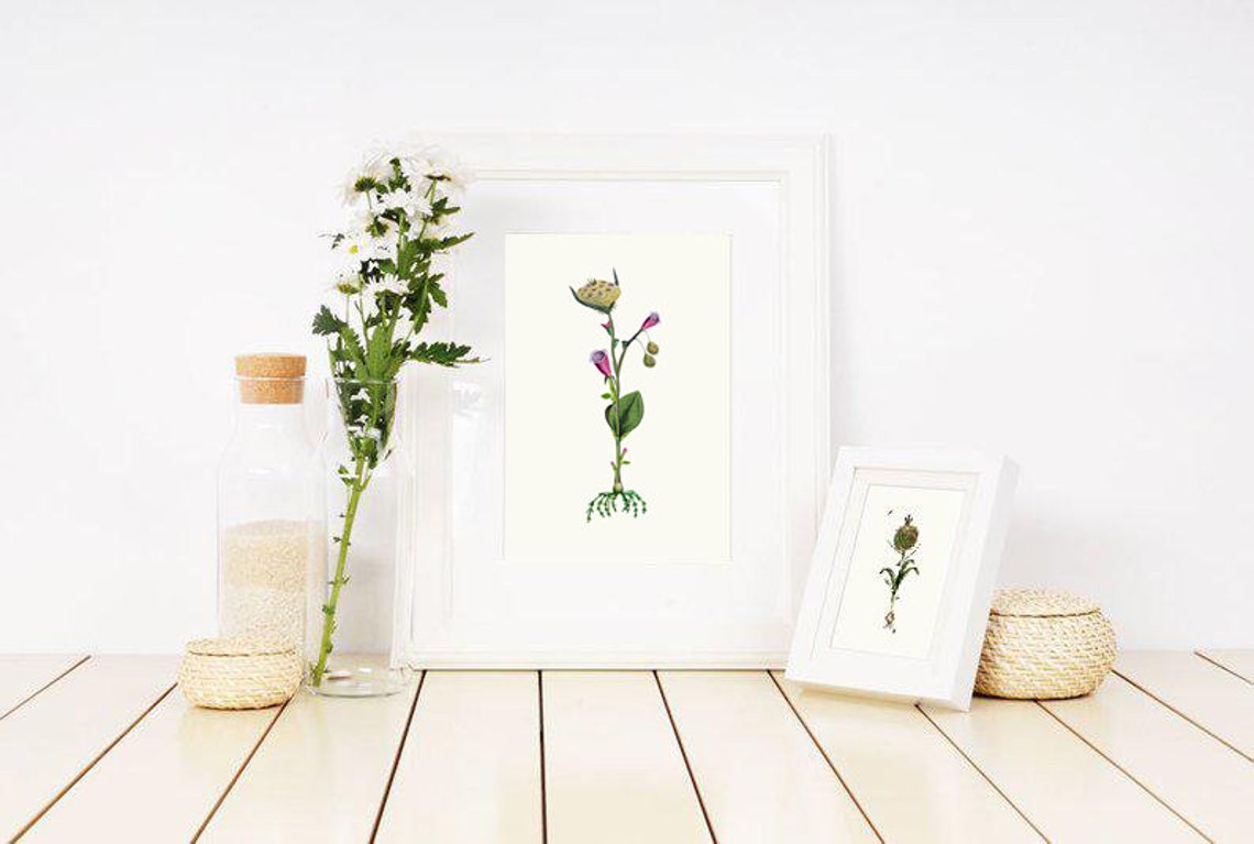 Botanical Art Print - Herbarium Illustration Collage, Limited Edition ...