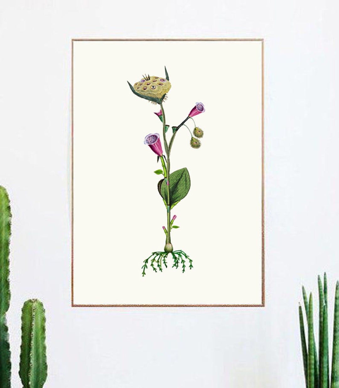Plant Poster. Illustration Collage. Botanical Print - Herbarium ...