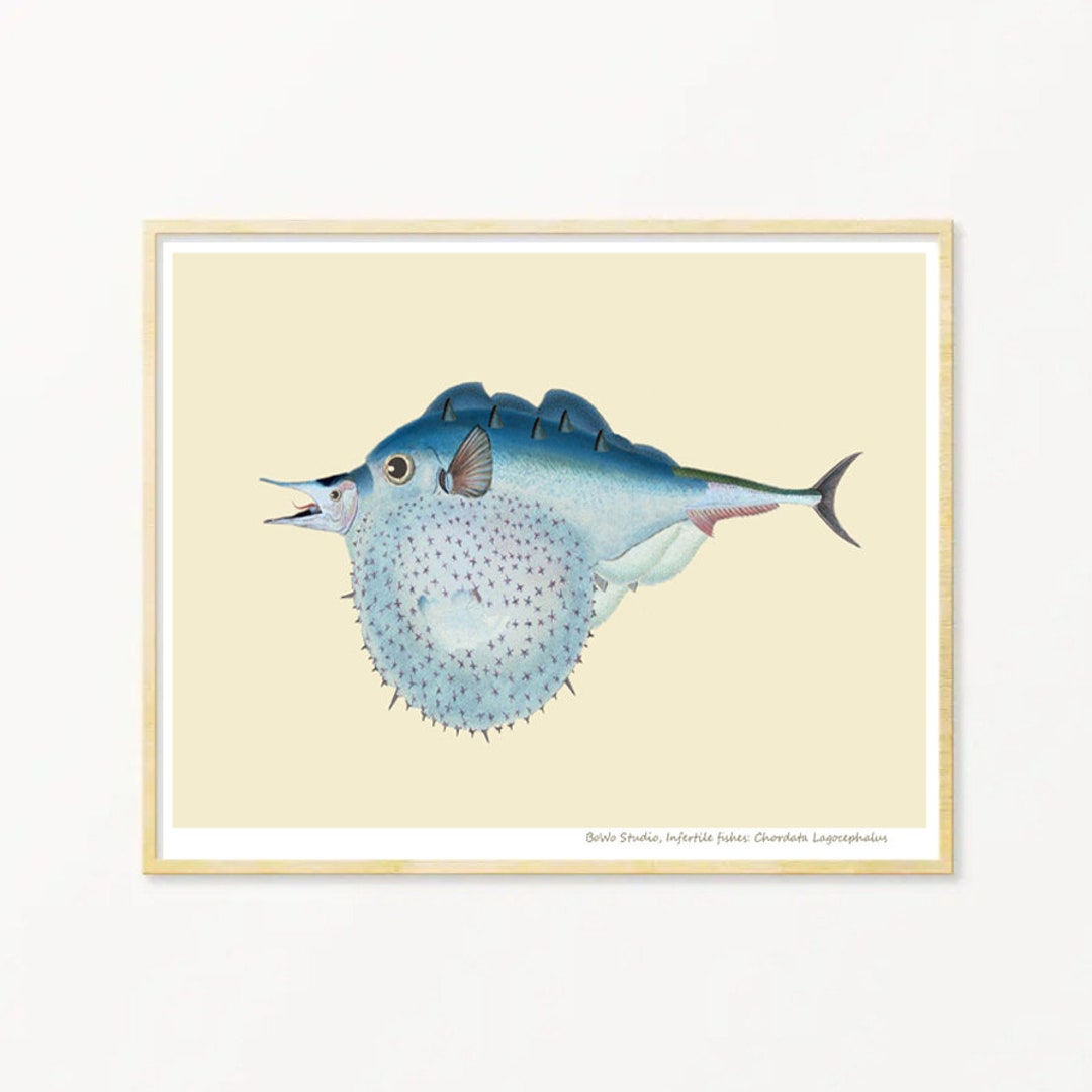Fish Art Print / Art Poster / Collage / Blue Fish / Sea / Wall Art ...