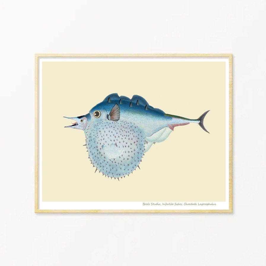 Fish Art Print / Art Poster / Collage / Blue Fish / Sea / Wall Art ...
