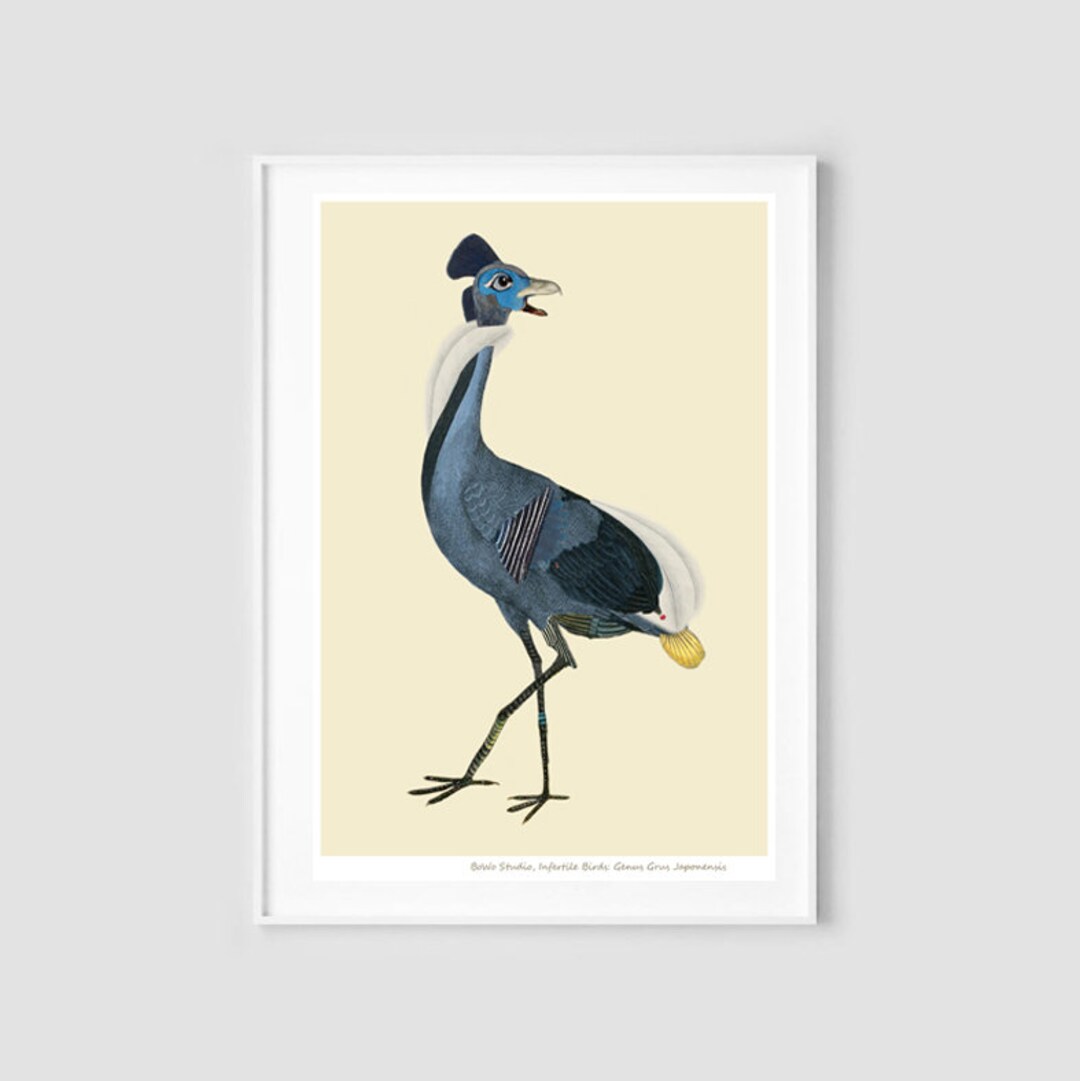 Bird Poster / Collage / Exotic Birds Art Print / Natural History ...