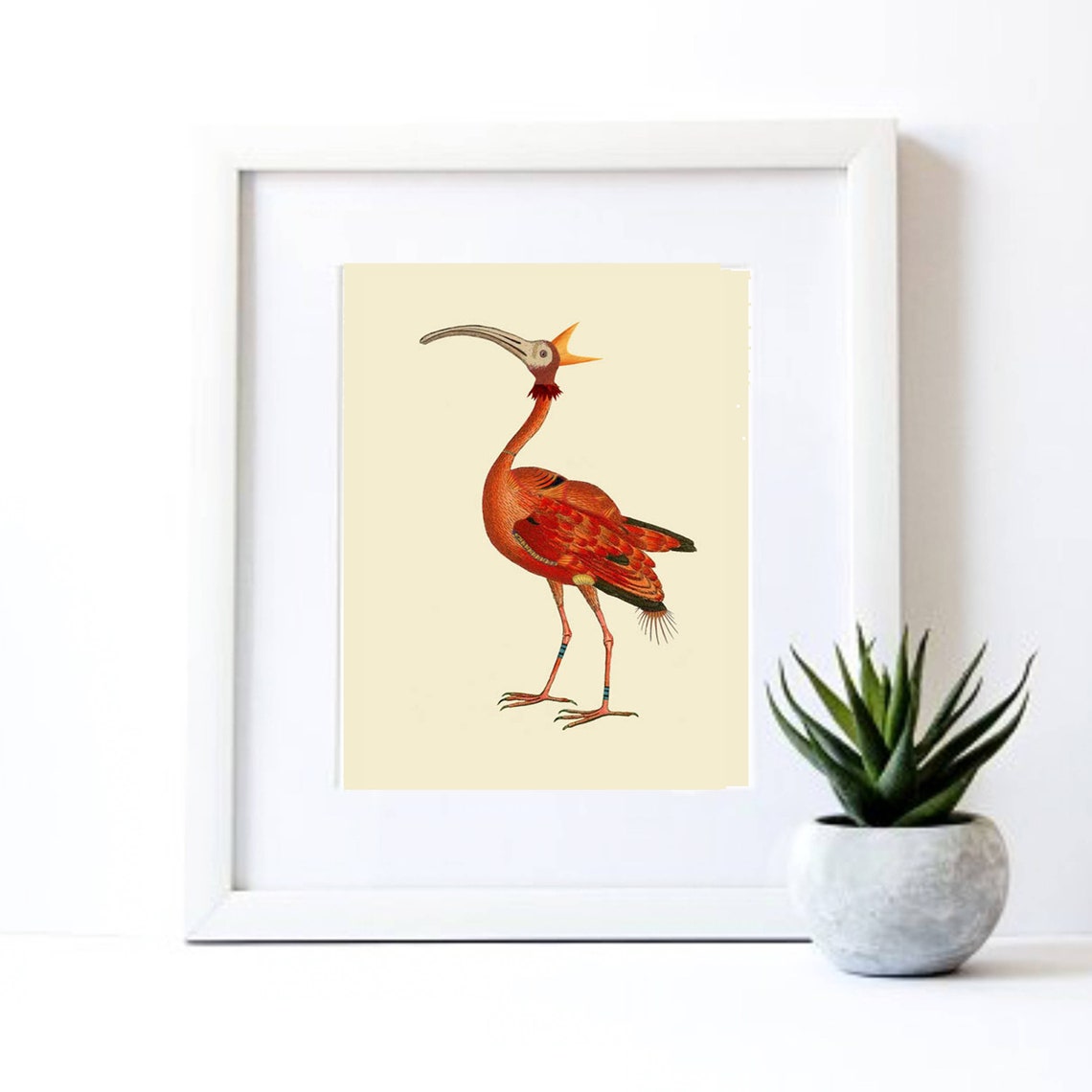 Red Bird Poster / Collage / Exotic Birds Art Print / Natural History ...