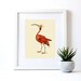 Red Bird Poster / Collage / Exotic Birds Art Print / Natural History ...