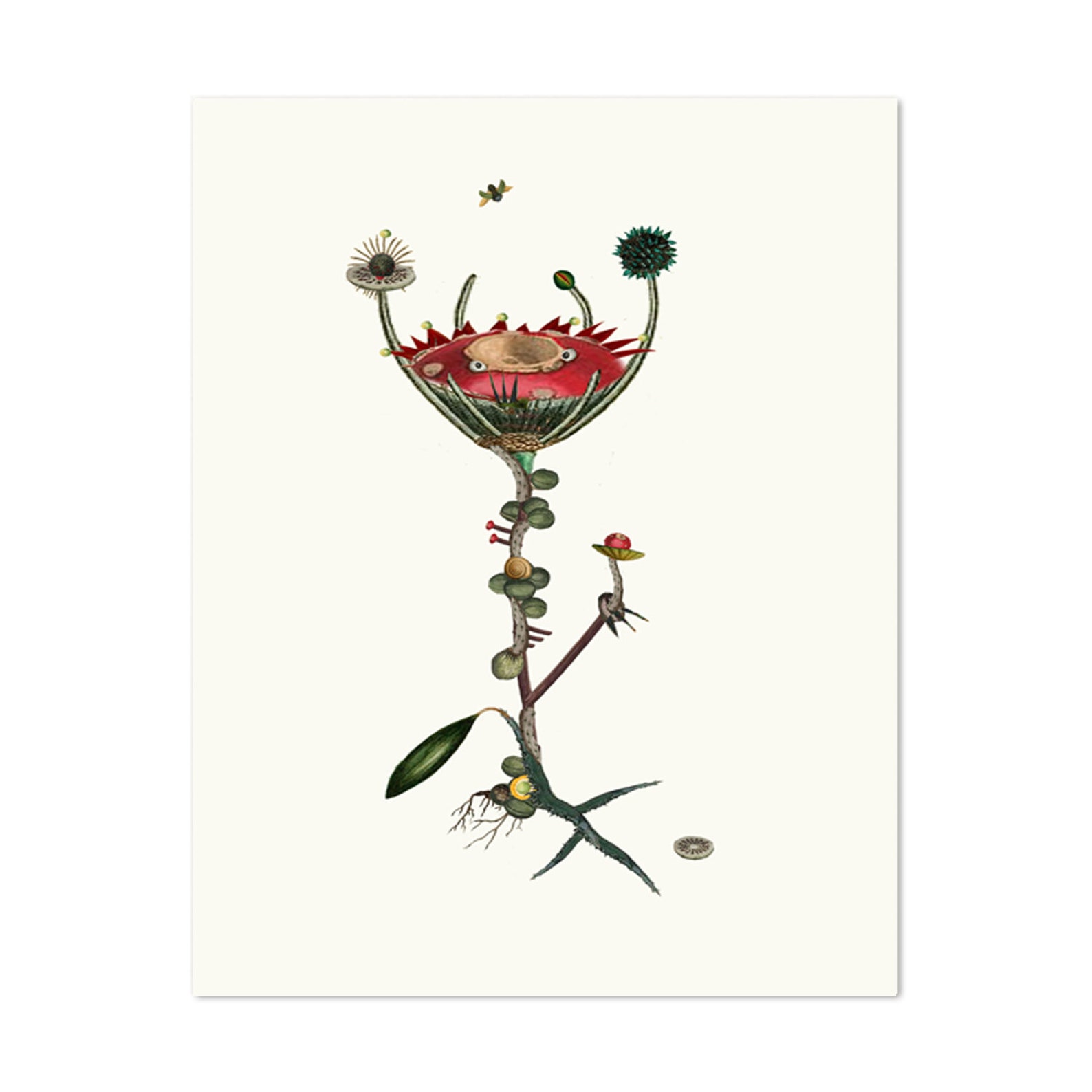 Plant Poster. Illustration Collage. Botanical Print - Herbarium ...
