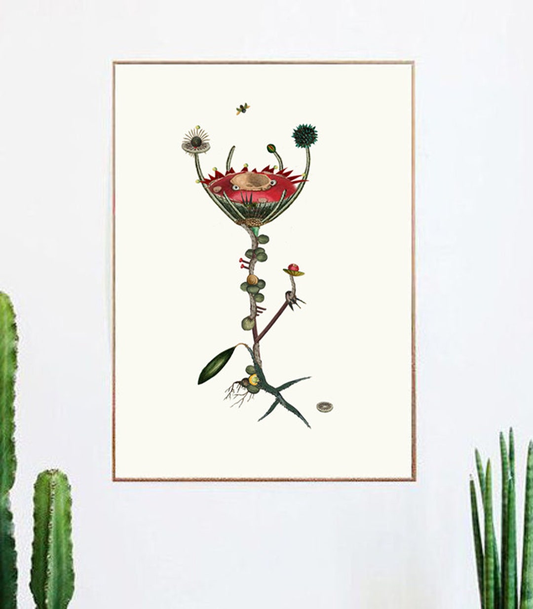 Plant Poster. Illustration Collage. Botanical Print - Herbarium ...