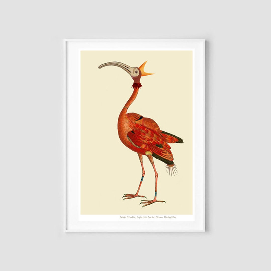 Red Bird Poster / Collage / Exotic Birds Art Print / Natural History ...