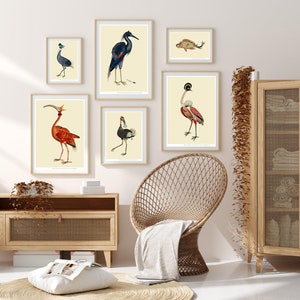 Red Bird Poster / Collage / Exotic Birds Art Print / Natural History ...