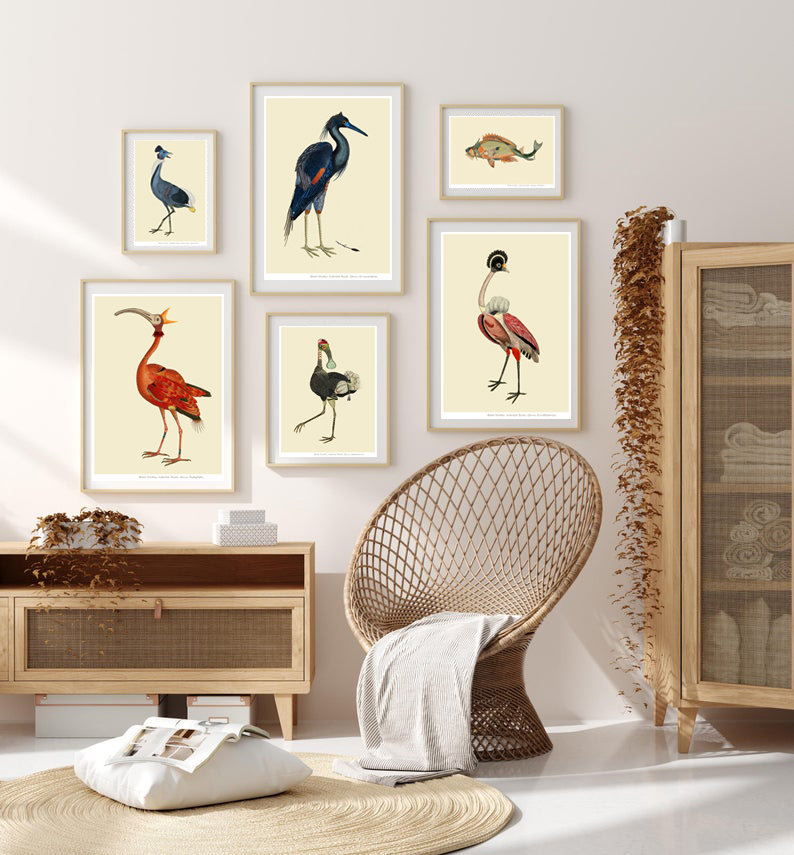 Red Bird Poster / Collage / Exotic Birds Art Print / Natural History ...